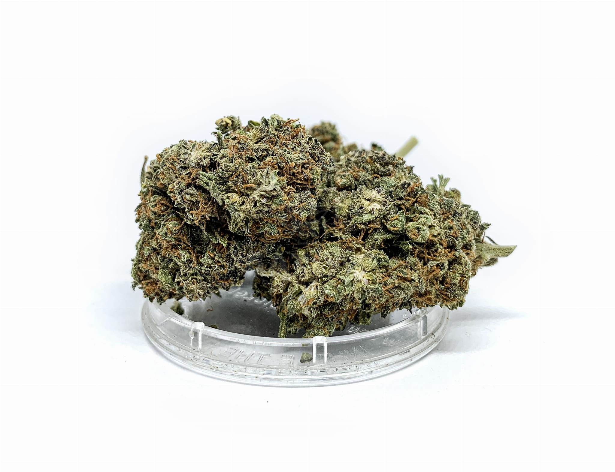Euphoria 1g – Herbál füstölő, Cannabinoid por, Kristály rendelés